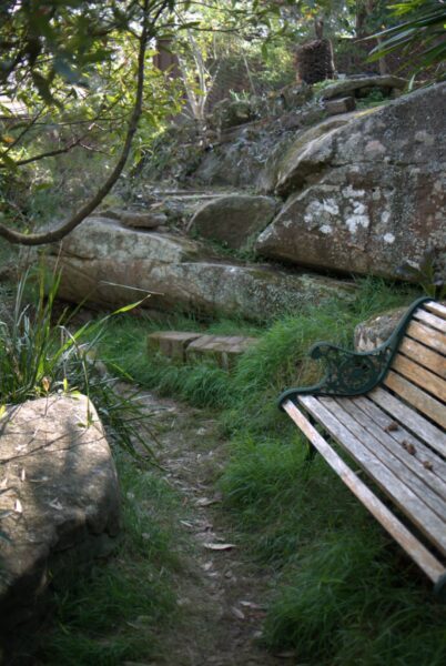 Pathways in Your Native Garden | Gardening With Angus