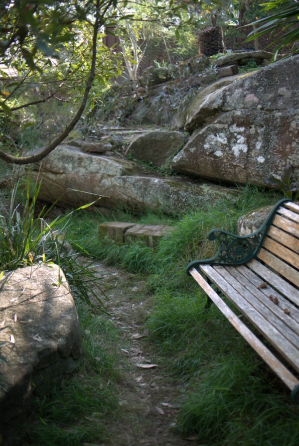 Pathways in Your Native Garden | Gardening With Angus