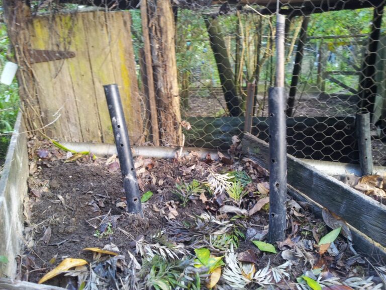 Composting for beginners | Gardening With Angus