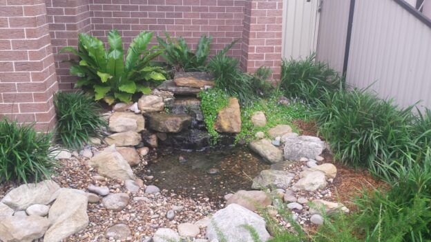 Water Features and Native Plants | Gardening With Angus