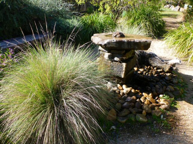 Water Features and Native Plants | Gardening With Angus