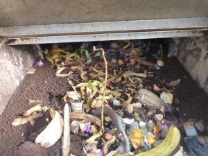 What Do Earthworms Really Love To Eat? | Gardening With Angus