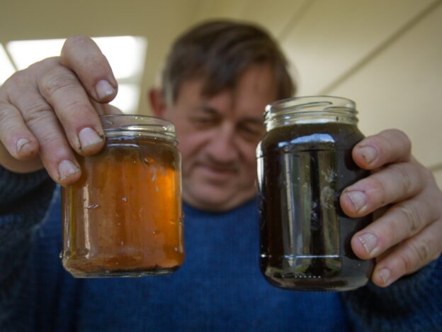 Using Liquid From The Worm Farm | Gardening With Angus