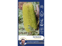 Australian Native Hedges | Gardening With Angus