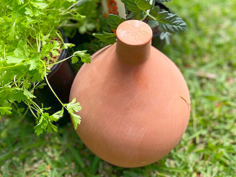 The Waterpot Large Round Olla – 3LT | Gardening With Angus